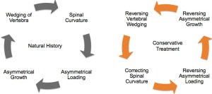 Vicious Vs VirtuousCycle | Victoria Sports and Rehabilitation Clinic ...